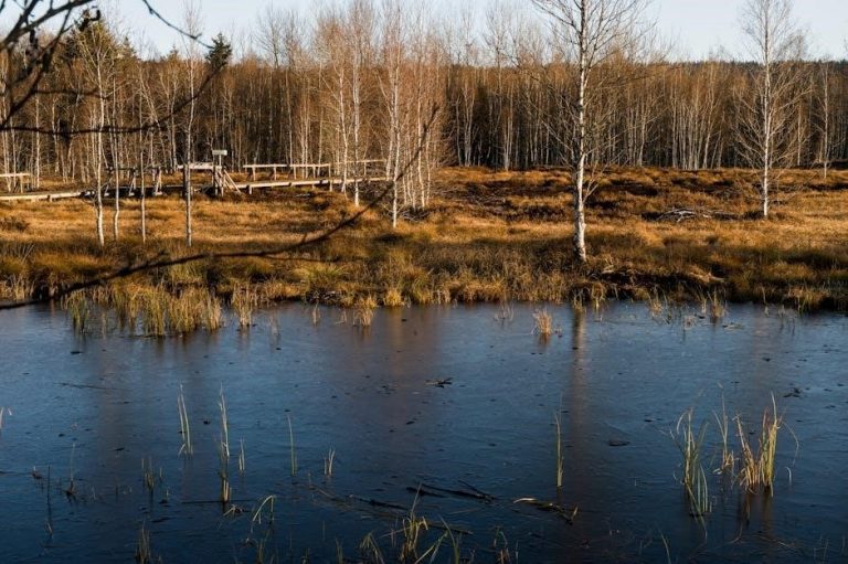 Silent Knight SK 5208 Manual - Download PDF Guide